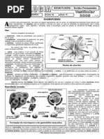 Mapa Mental - Angiospermas 1 - Biologia | PDF