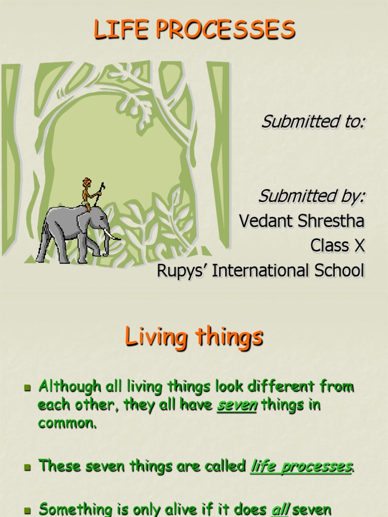 Understanding Life Processes: MRS NERG | PDF | Science & Mathematics