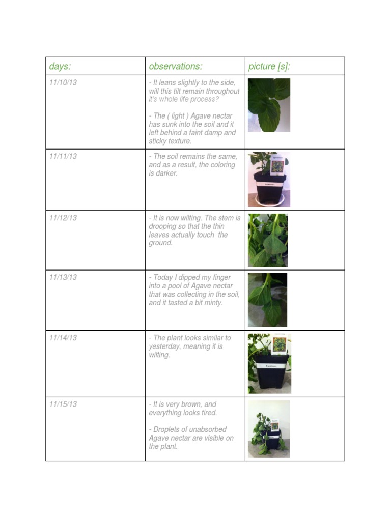 Agave Plant Health Observations | PDF