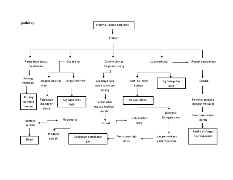 Pathway Fraktur | PDF
