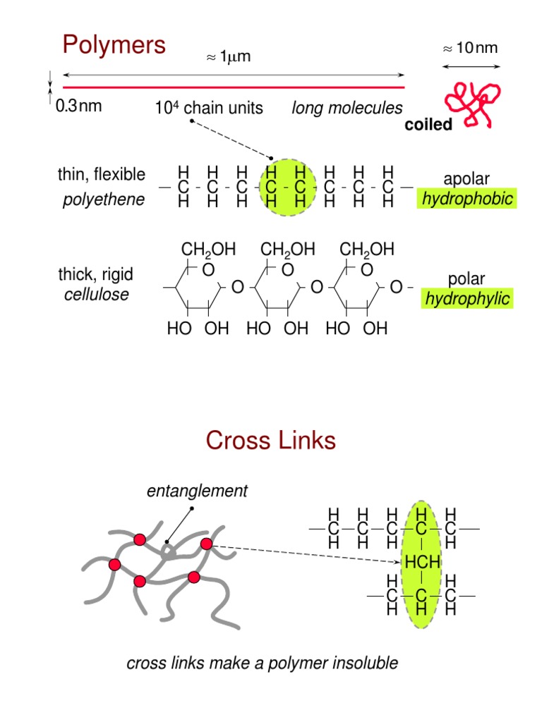 Polymers: Long Molecules | PDF | Polymers | Solvent