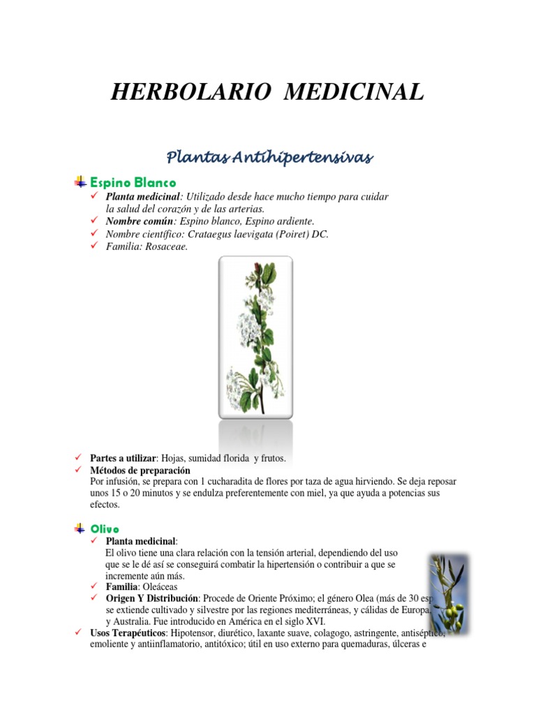 Herbolario Medicinal | PDF | Plantas medicinales | Hipertensión