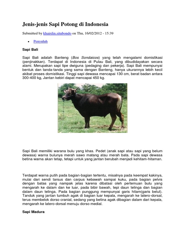 Jenis Sapi | PDF