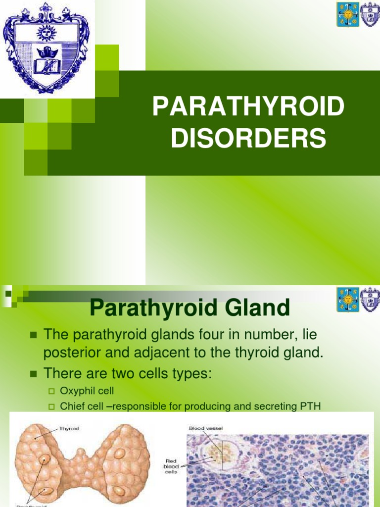 Parathyroid Disorders | PDF | Parathyroid Gland | Diseases And Disorders