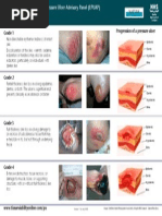 Pressure Ulcer Grading Guide | PDF | Skin | Endocrine System
