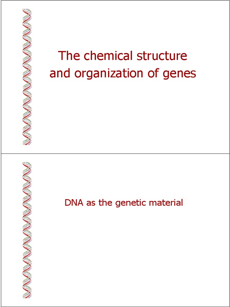 Chem Structure of Genes | PDF | Gene | Rna