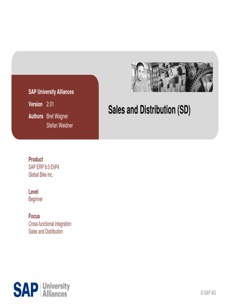 Sap SD | PDF