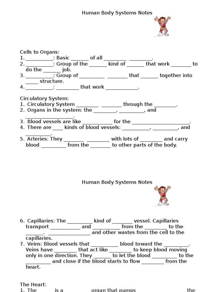 Human Body System Notes | PDF