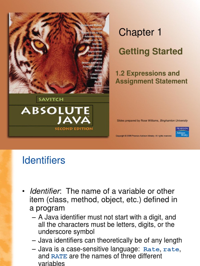 Getting Started: 1.2 Expressions and Assignment Statement | PDF ...