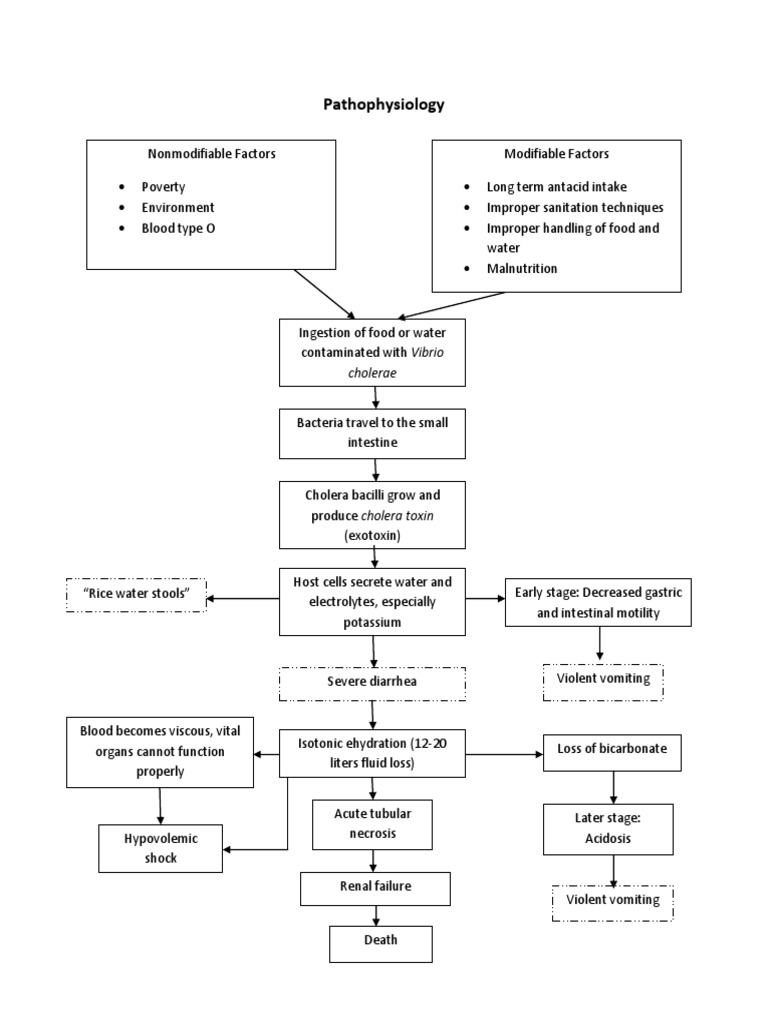 Cholera Pathophysiology | PDF