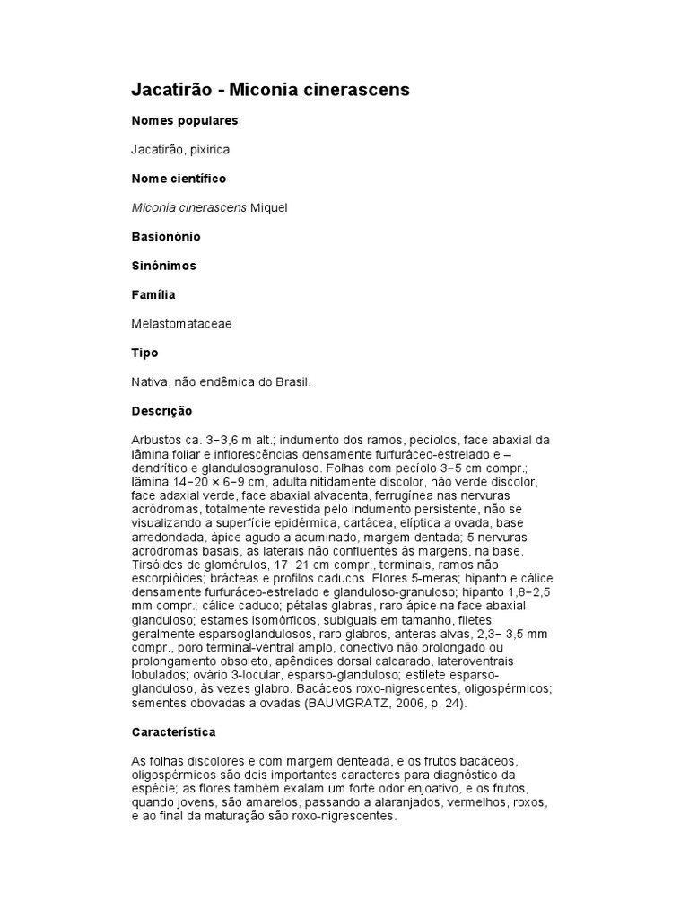 Jacatirão - Miconia Cinerascens - Ervas e Frutas Comestíveis Do Bioma ...