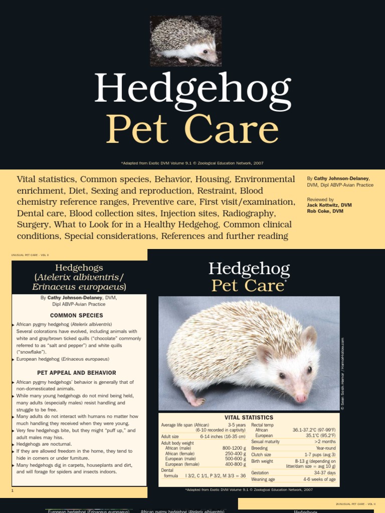 Hedgehog Pet Care | PDF | Wellness | Medical