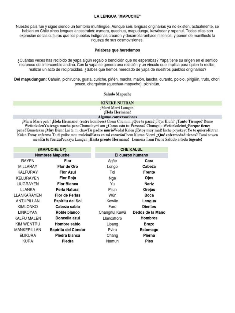 Diccionario Mapuche | PDF | Naturaleza