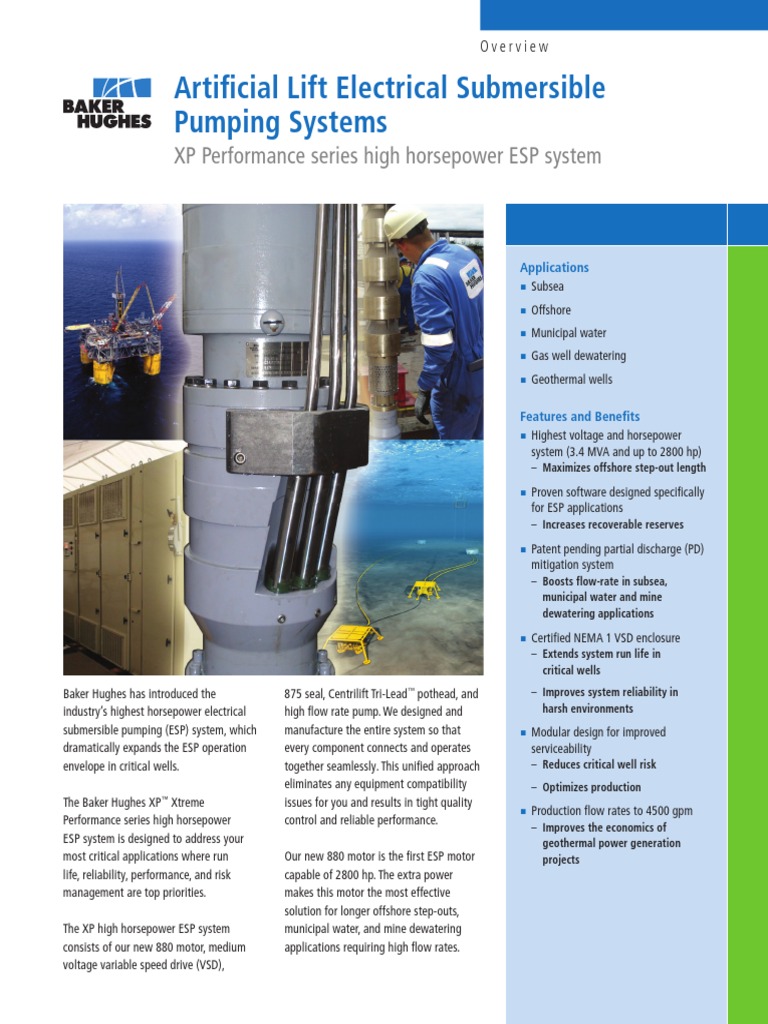 Als Esp System | PDF | Subsea (Technology) | Horsepower