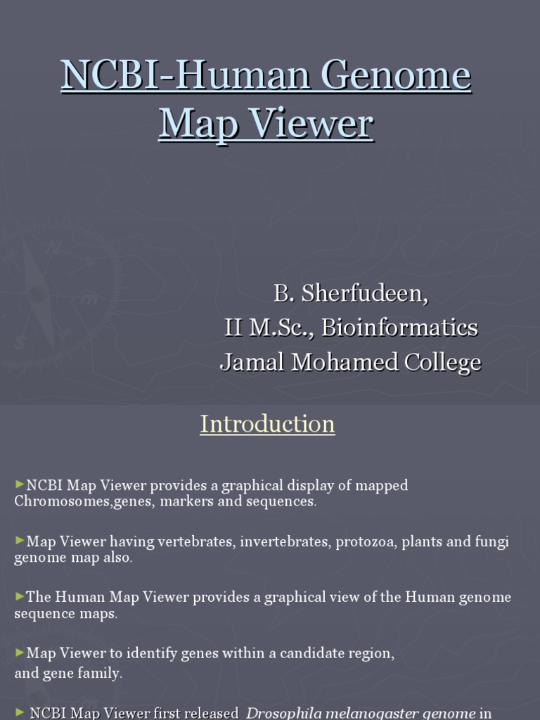 NCBI - Map Viewer | PDF | National Center For Biotechnology Information ...