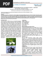 A Drug Study On Evening Primrose Oil | PDF | Premenstrual Syndrome ...