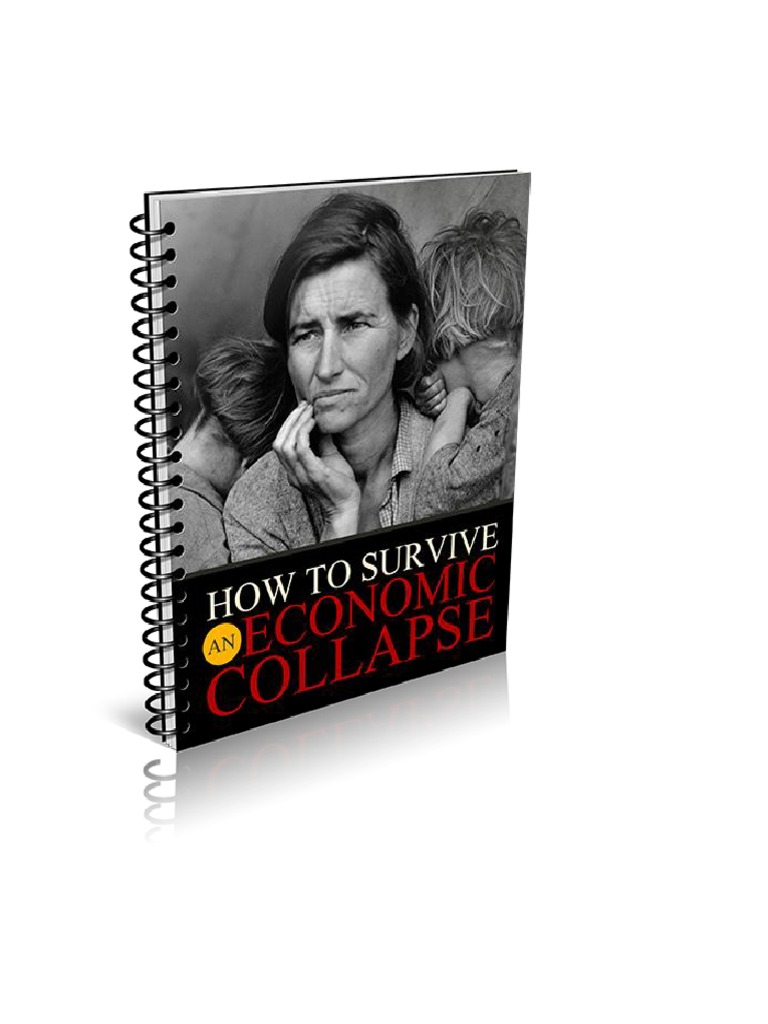 Economic Collapse | PDF | Handgun | Self Defense