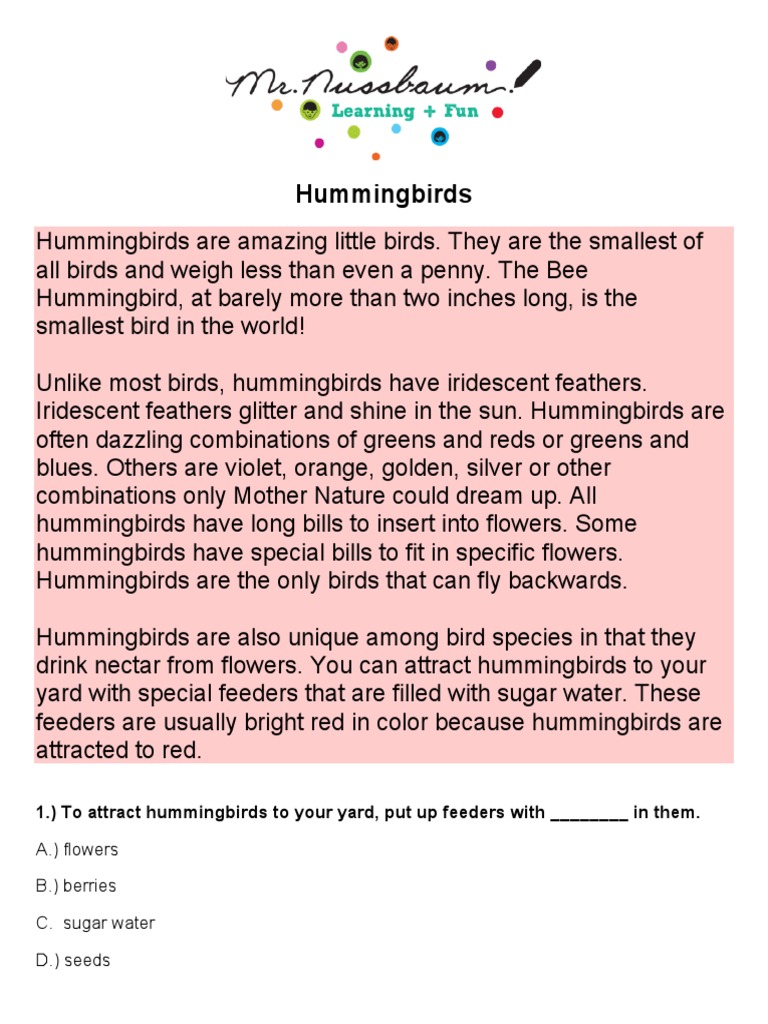 Hummingbird Facts for Kids | PDF