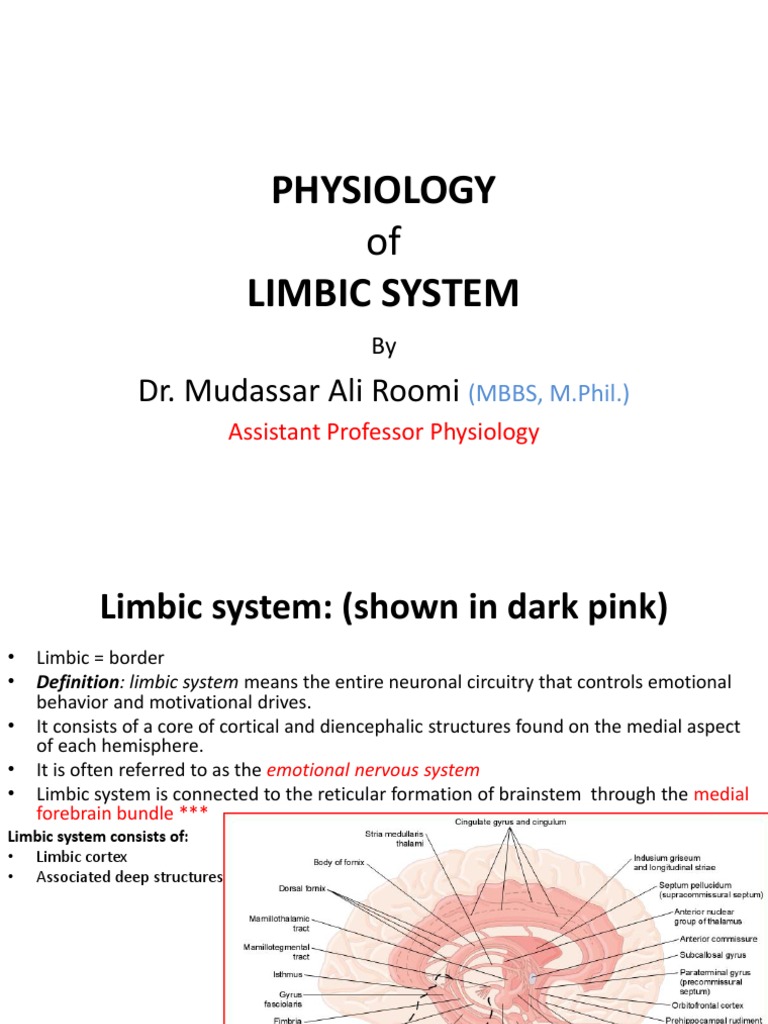 Physiology of Limbic System by Dr. Roomi | PDF | Limbic System ...