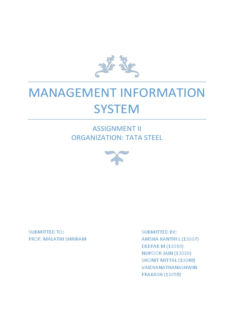 Management Information System: Assignment Ii Organization: Tata Steel | PDF | Enterprise ...