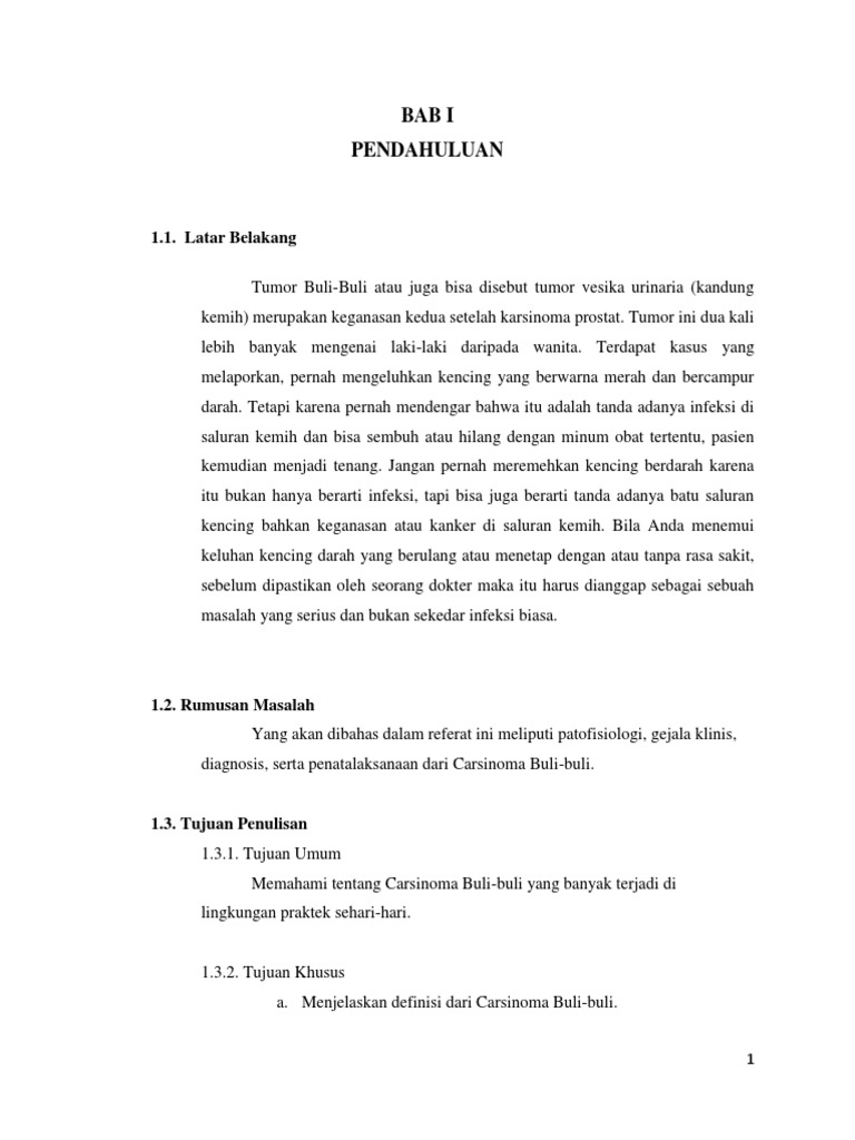 Tinjauan Pustaka CA Buli | PDF