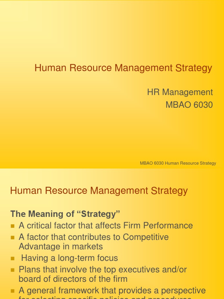 Human Resource Management Strategy | PDF