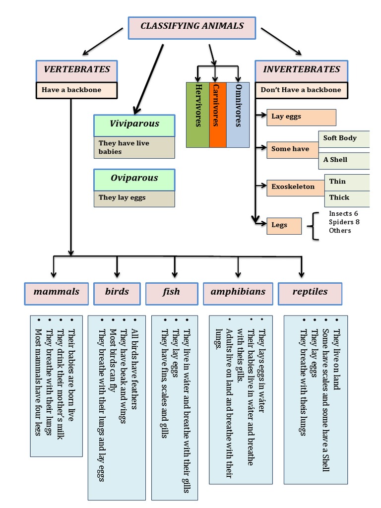 Animals Classifying | PDF