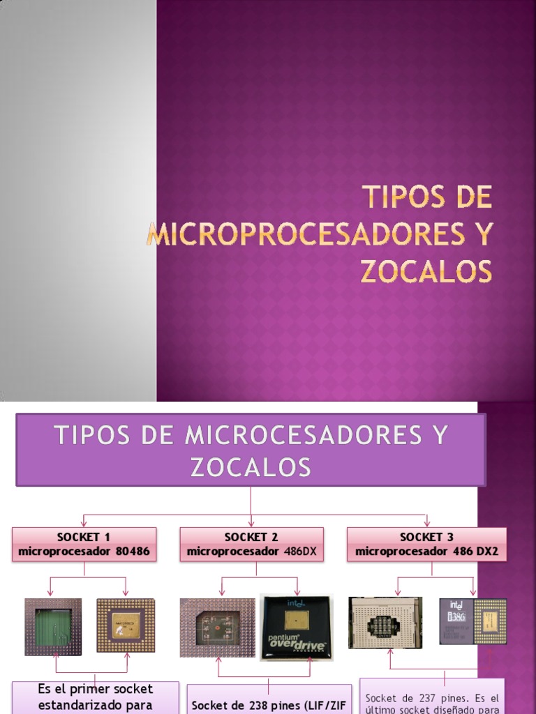 Tipos de Microprocesadores y Zocalos | PDF | Microprocesador | Circuito integrado