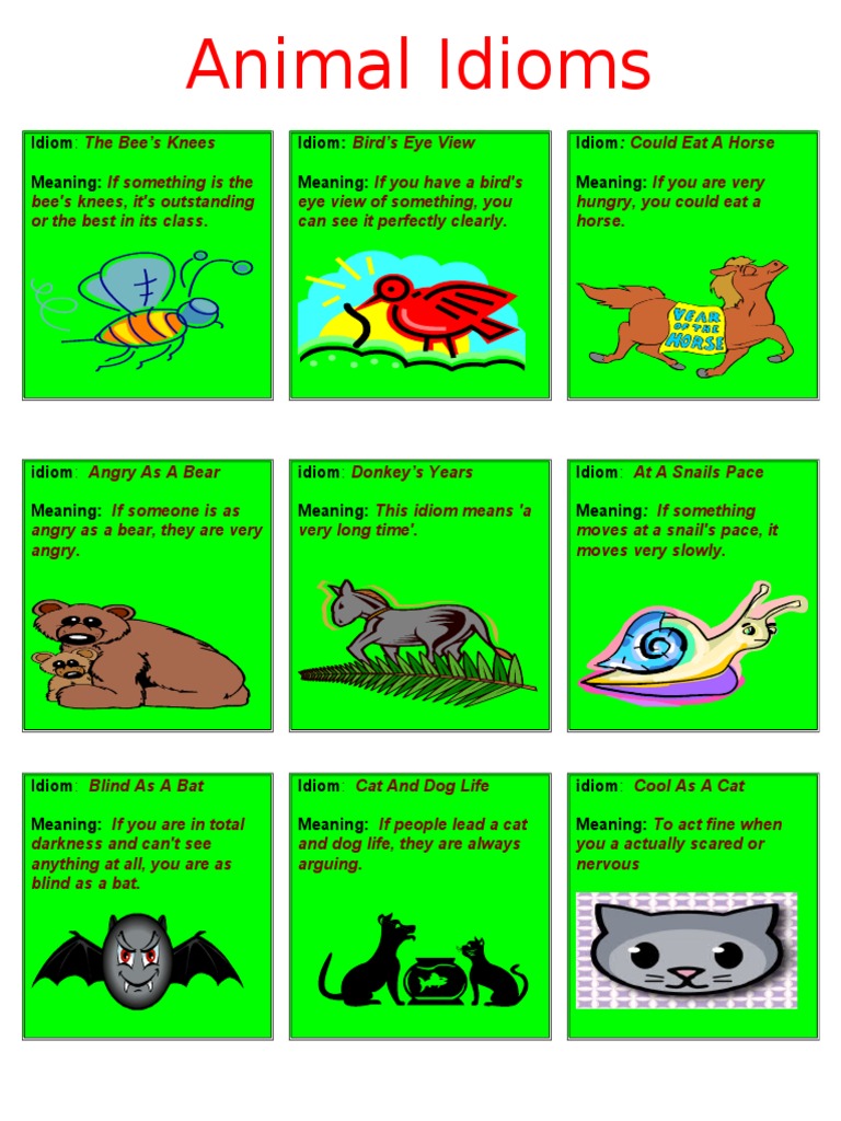 Animal Idioms | PDF | Language Arts & Discipline