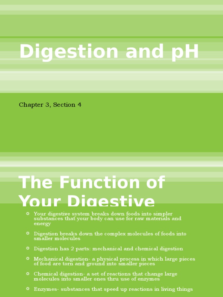 Digestion and PH: Chapter 3, Section 4 | PDF