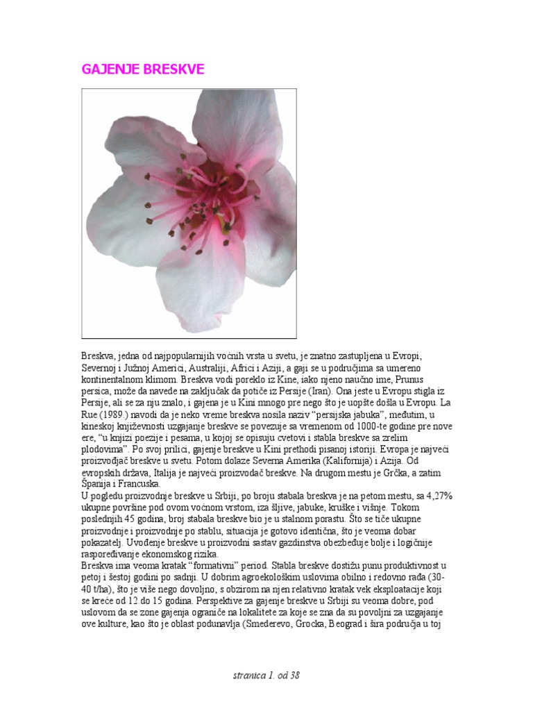 Gajenje Breskve | PDF