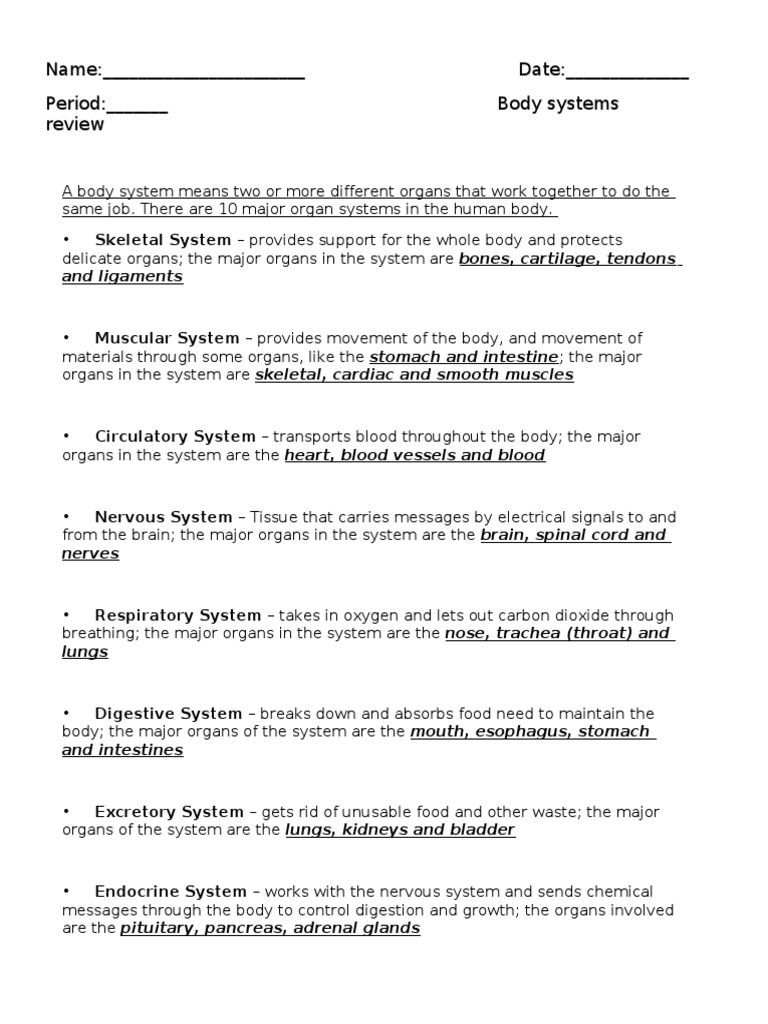 Body System Review | PDF | Organ (Anatomy) | Lung