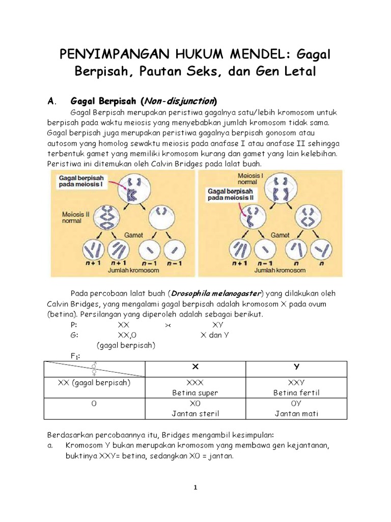 Gagal Berpisah dan Pautan Seks pada Gen | PDF
