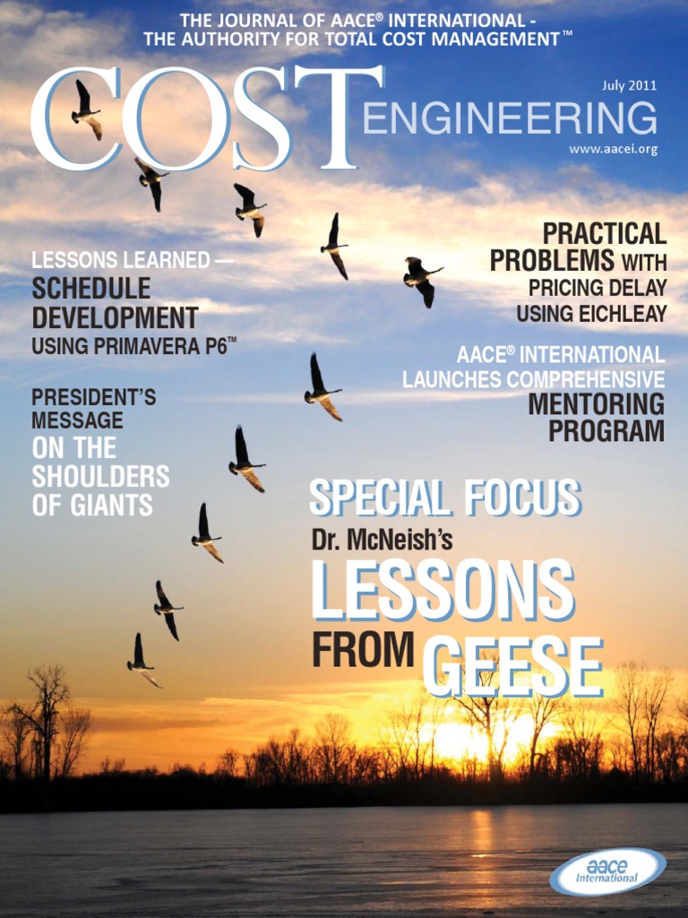 Aace Cost Engineering Journal Download Free Pdf Mentorship Scheduling Production Processes