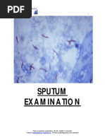 Biochemical Test and Identification of Pseudomonas Aeruginosa | PDF ...