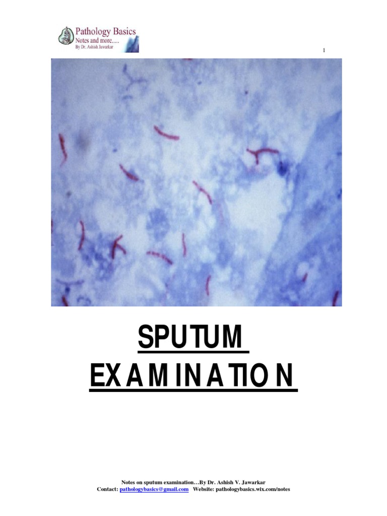 Sputum Examination Pneumonia Tuberculosis
