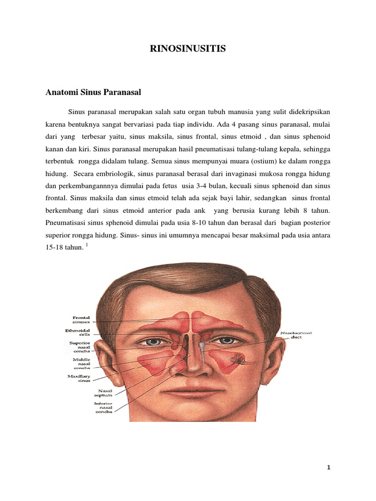 Status Ujian Rhinosinusitis | PDF