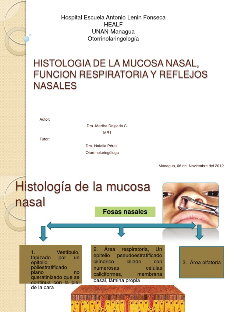 Histologia de La Mucosa Nasal, Funcion Respiratoria y Reflejos Nasales ...