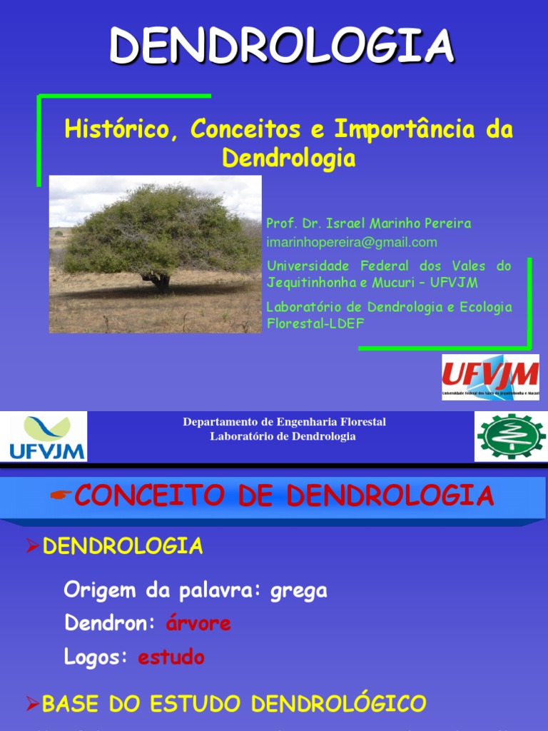 Dendrologia | PDF | Morfologia vegetal | Árvores