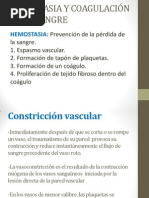 Signo de Homans y su diagnóstico en TVP | PDF | Anatomía del miembro ...