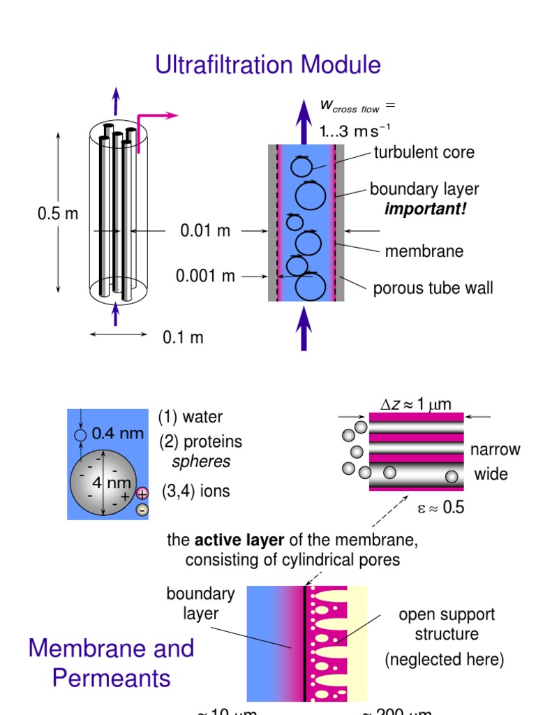 Ultrafiltration Module: Turbulent Core Boundary Layer | PDF | Chemistry ...