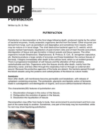 Stages of Post Mortem Lividity and Putrefaction of The Body | PDF ...
