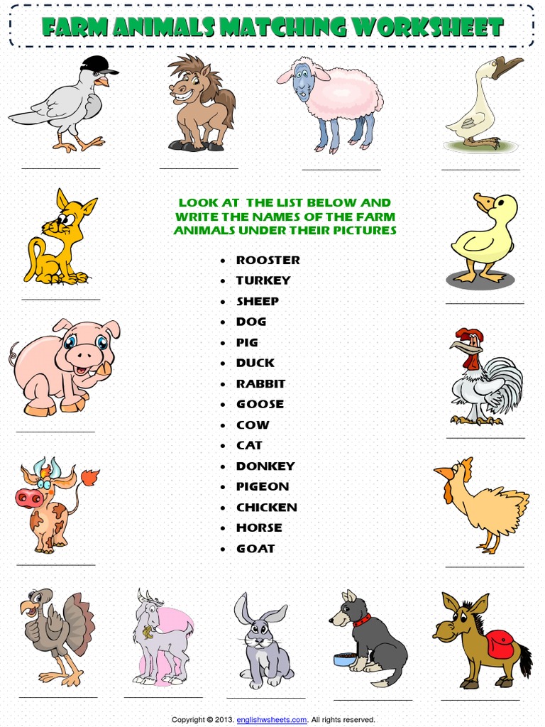 Farm Animals Matching Vocabulary Worksheet 1 | PDF | Cooking, Food & Wine