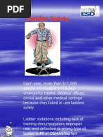 3 Points Contact | PDF | Ladder | Safety