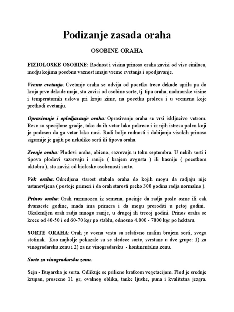 Orasi | PDF