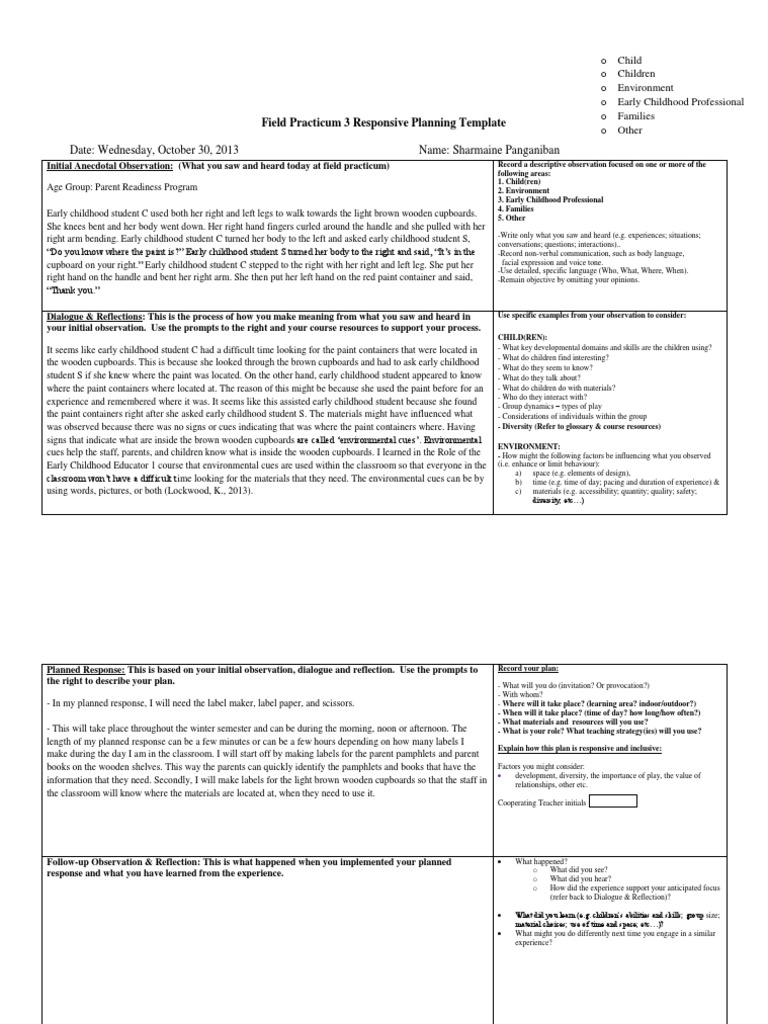 Early Childhood Observation & Planning Template | PDF | Early Childhood ...
