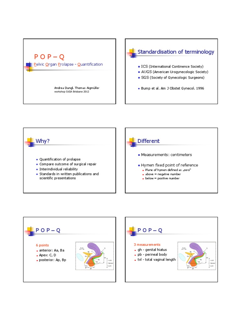 Pop-Q Iuga | Download Free PDF | Vagina | Anatomical Terms Of Location