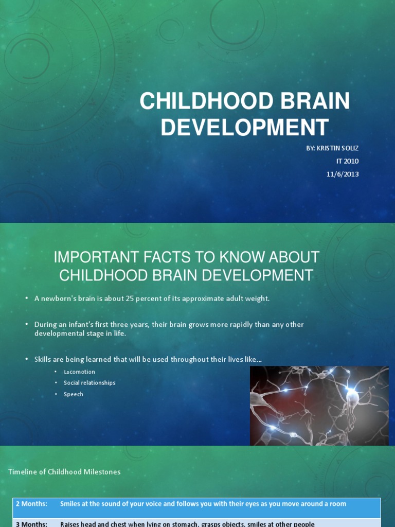 Childhood Brain Development | PDF | Child Development | Relationships