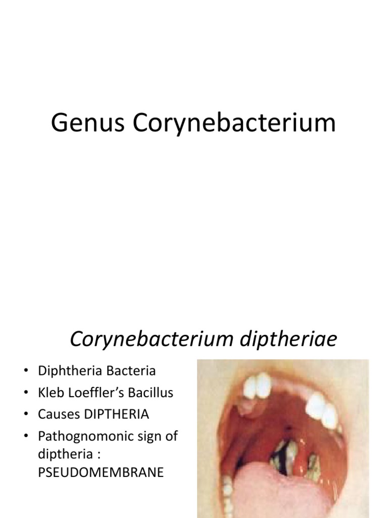 Genus Corynebacterium | Escherichia Coli | Diarrhea