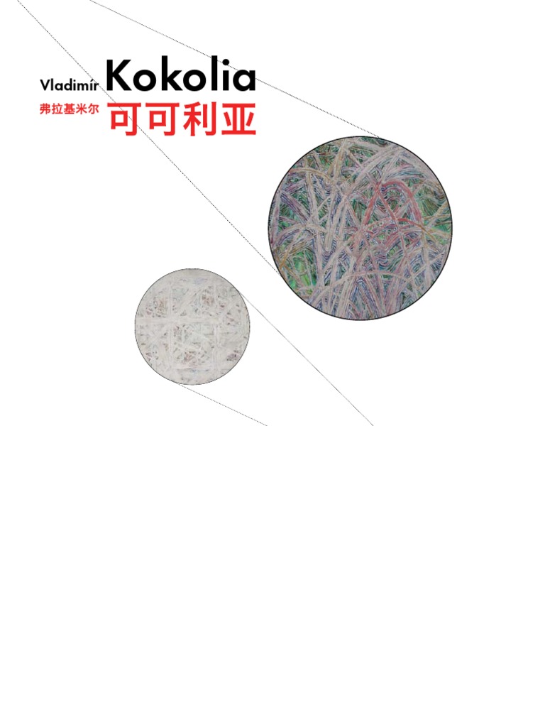 Kokolia Moca Chengdu 2013 | PDF | Stereoscopy | Paintings